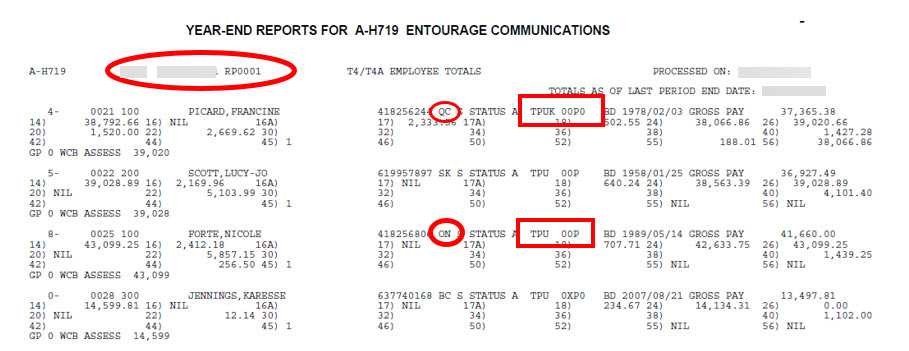 Rapports de vérification de fin d'année